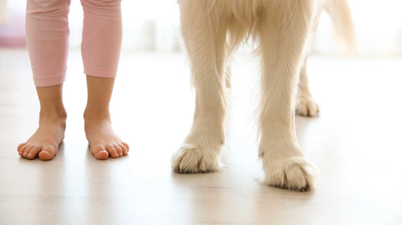Palms & Paws - A Community Where People & Pets Flourish